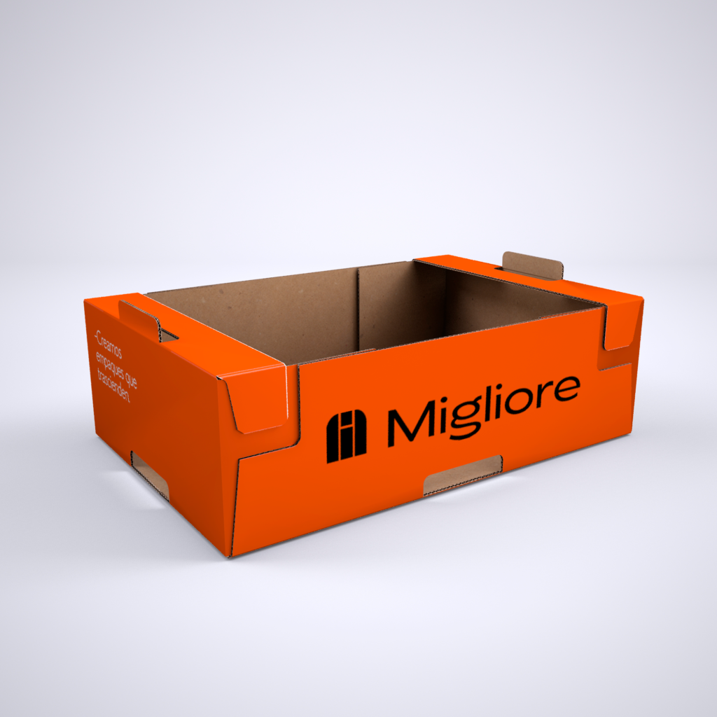 Inicio - Migliore